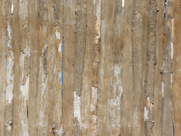 aged rough plank surface 0033 - Texturelib